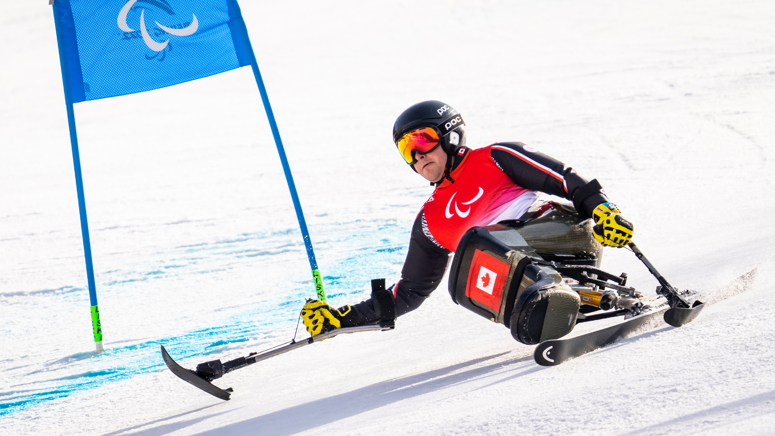 Home - Canadian Paralympic Committee